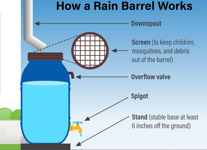 Building a rainwater harvesting system for sustainable gardening