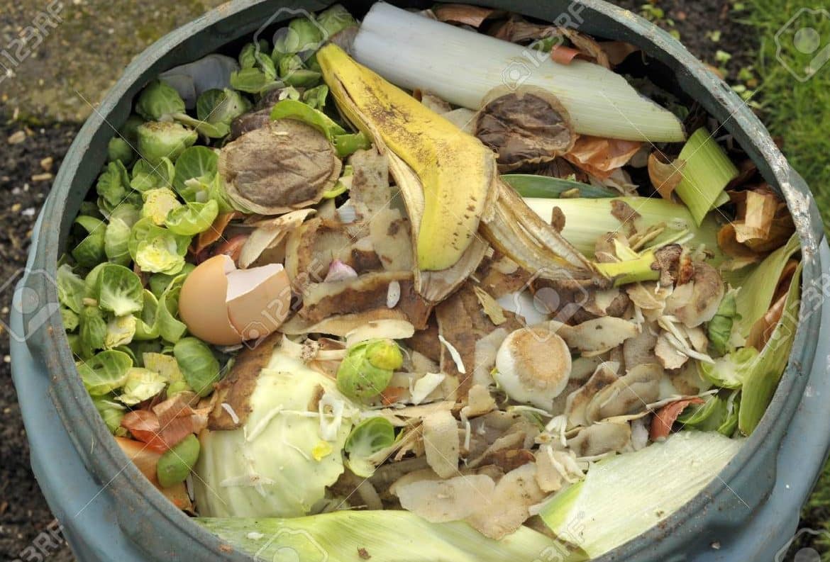 How to start composting in your backyard: a step-by-step guide