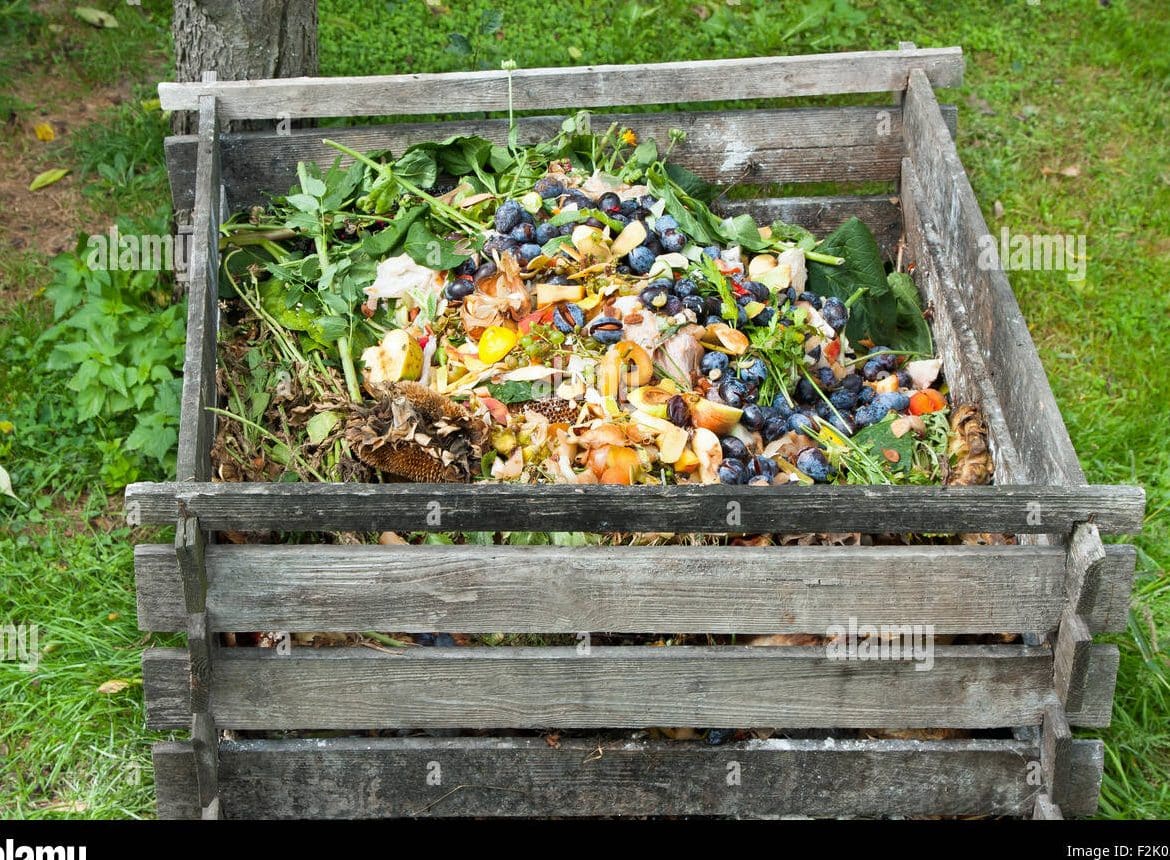 Introduction to Composting: Building Healthy Soil for Permaculture