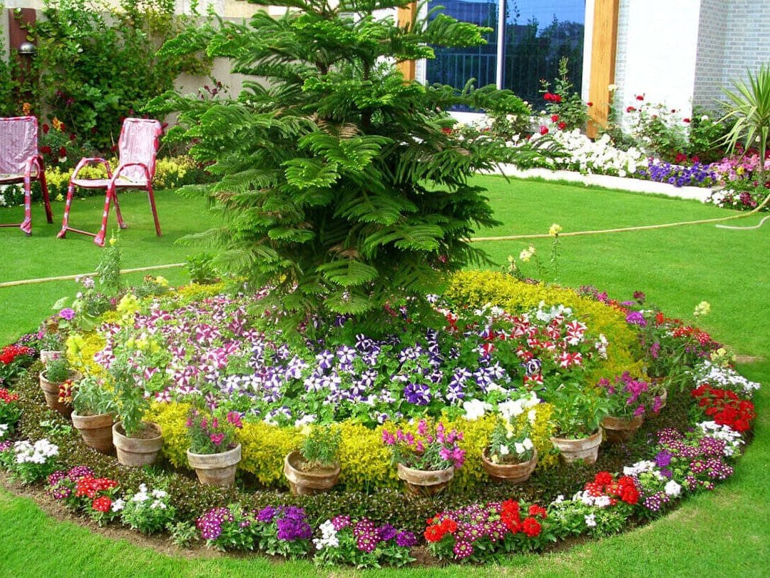 Tips for incorporating companion planting in your permaculture garden