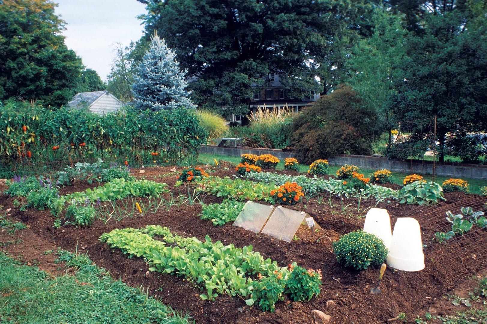 The importance of soil health in permaculture and how to improve it