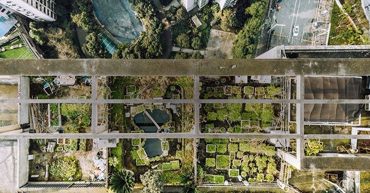 Exploring the connection between permaculture and natural building in ...