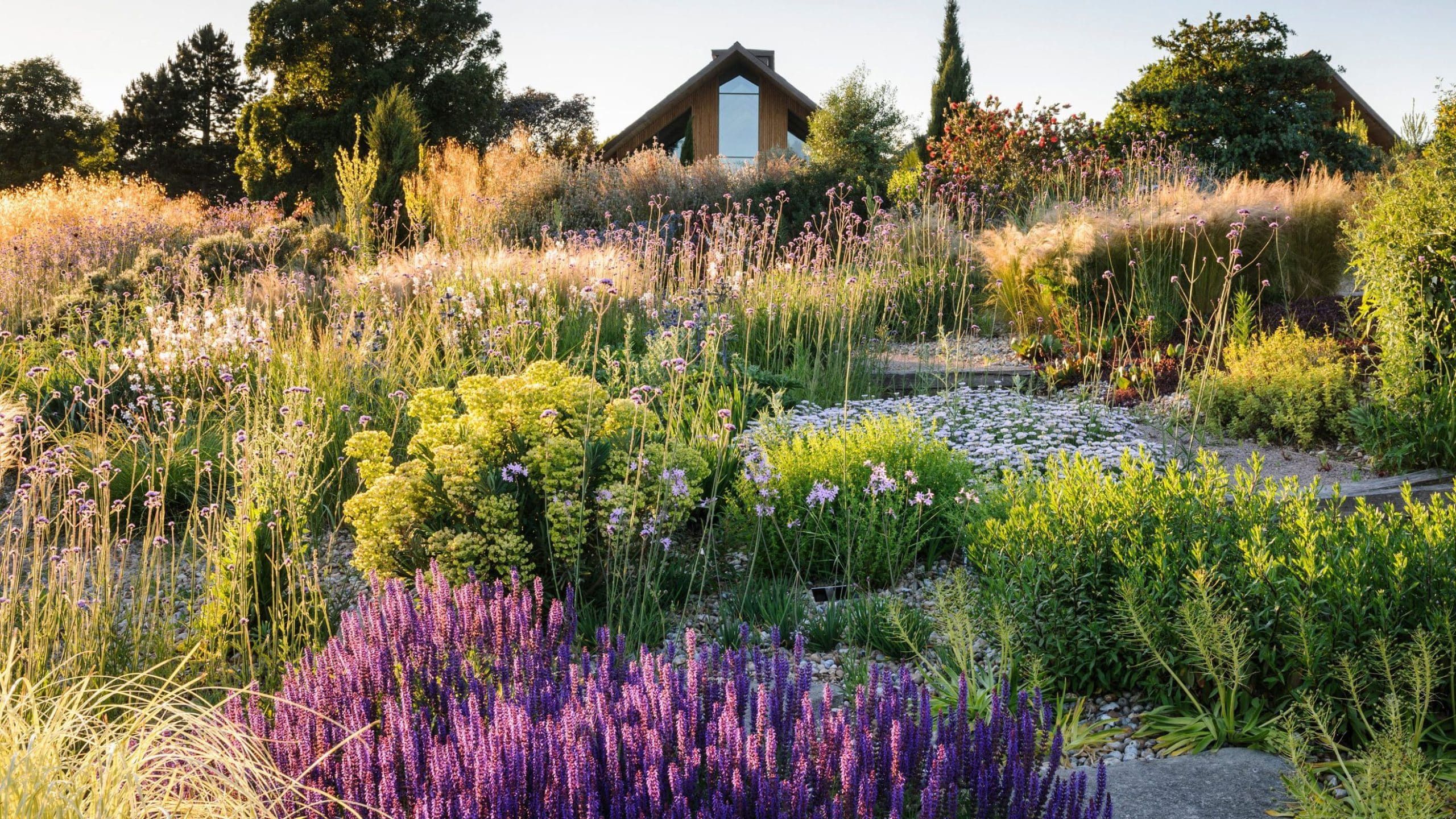 Designing a water-efficient permaculture system