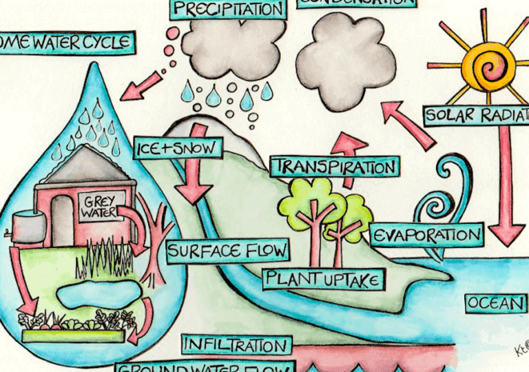 Key Principles of Water Management in Permaculture Systems