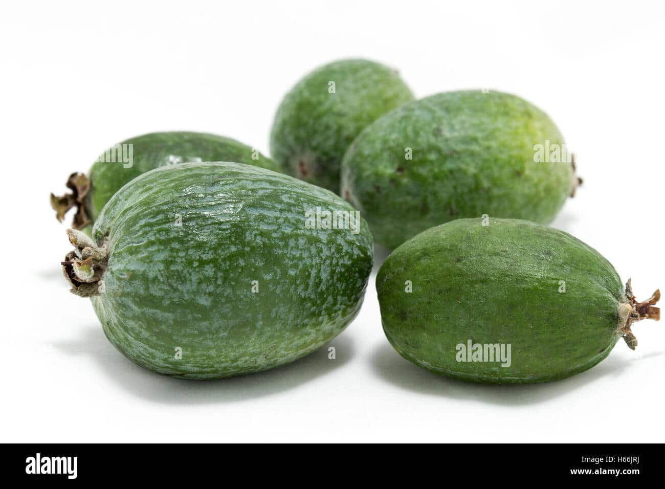 Cultiva tu limón de manera sostenible con la permacultura
