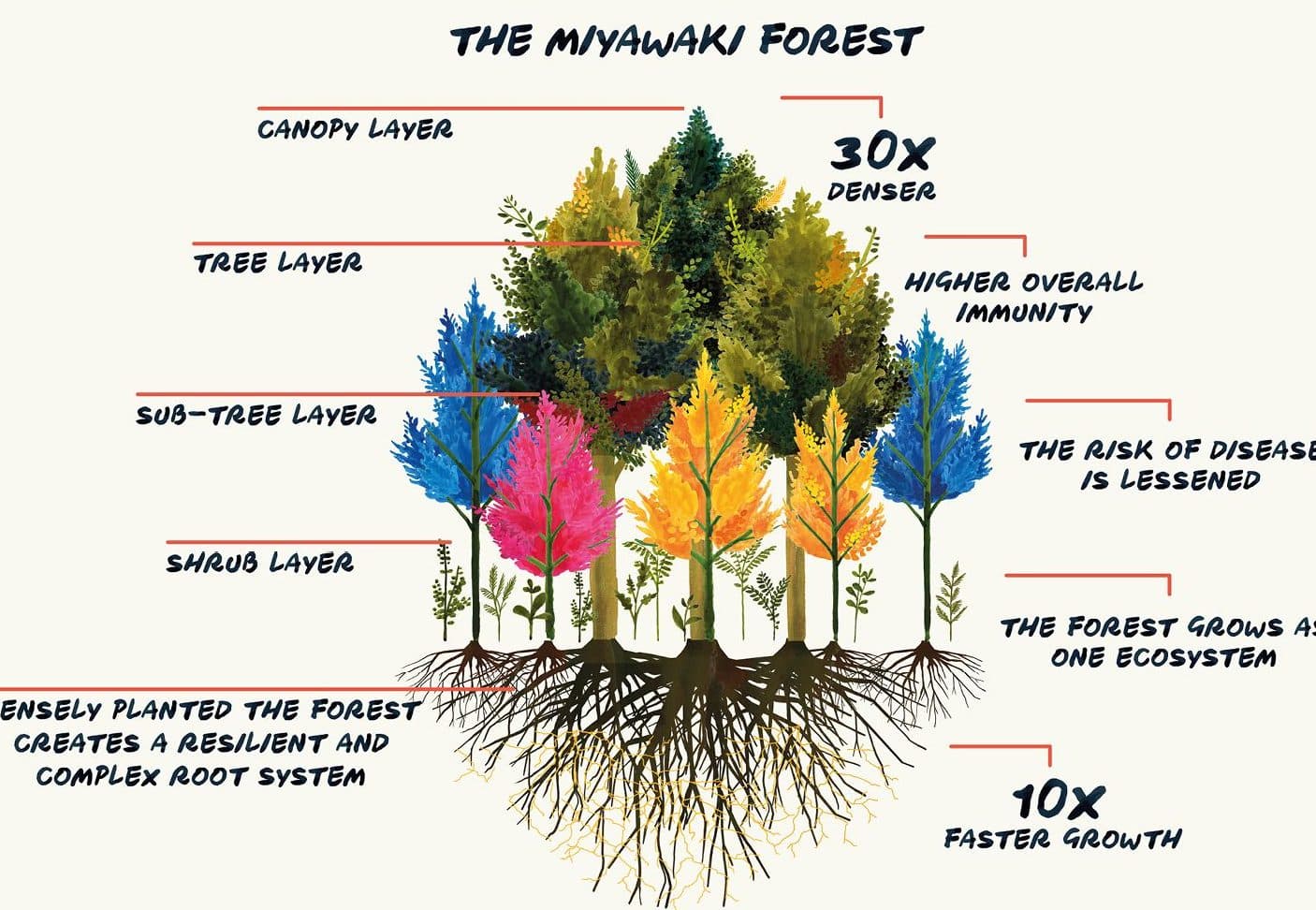 Success story: How permaculture transformed a barren land into a ...
